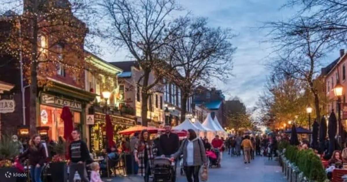 Visite guidée en bus partagée de la Vieille ville d'Alexandria et du Mont Vernon au départ de ...